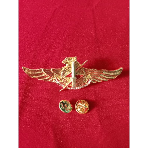 Jual WING BREVET BRIVET GARUDA MONUSCO UN CONGO PBB PETIR | Shopee ...