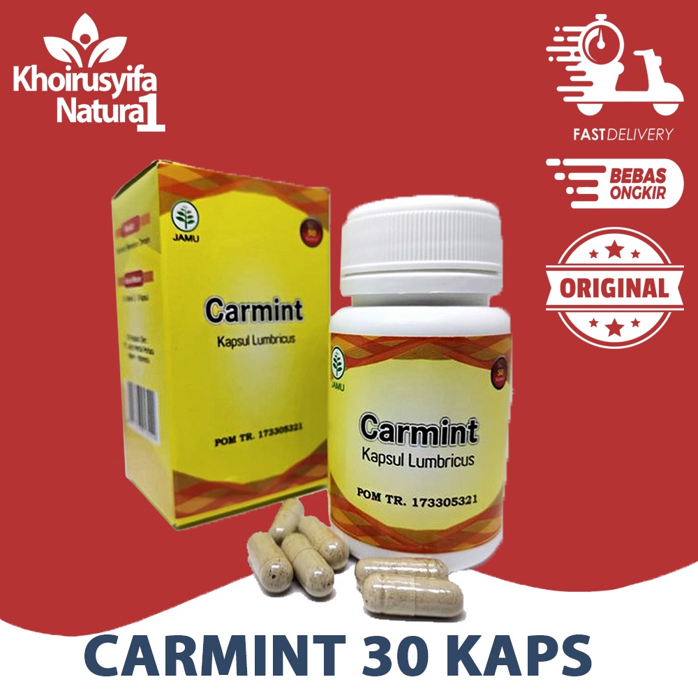 Jual CARMINT KAPSUL CACING SETARA VERMINT OBAT TYPUS/PANAS ISI 30 ...