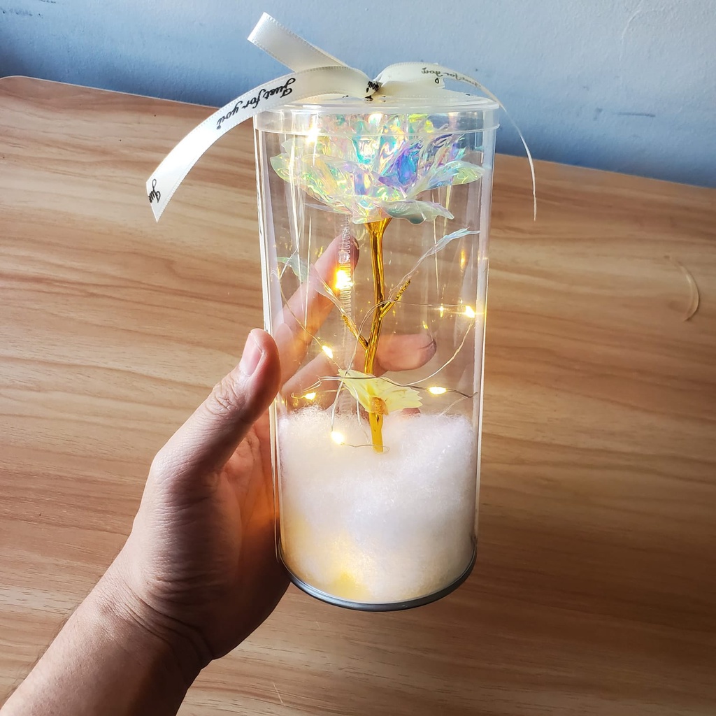 Jual Fairytale Rose bunga dalam tabung | Shopee Indonesia