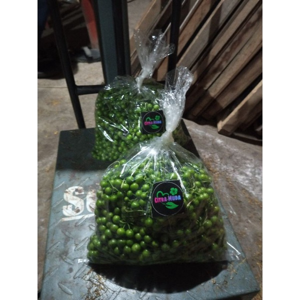 Jual Lenca segar sayur organik/1kg | Shopee Indonesia