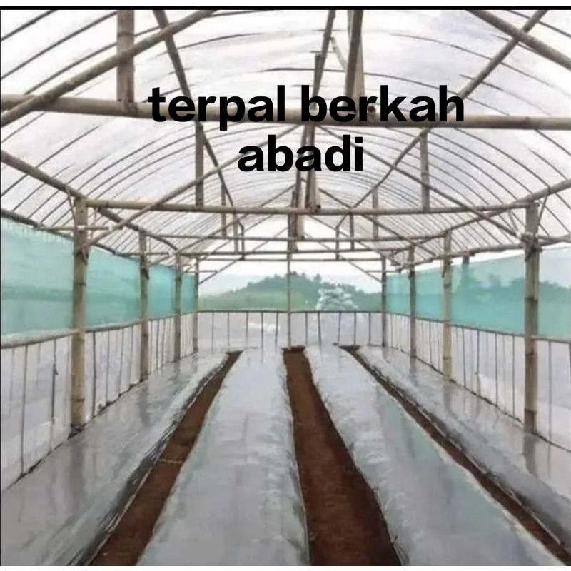 Jual terpal plastik bening transparan ukuran 2x4 plastik tirai tenda ...