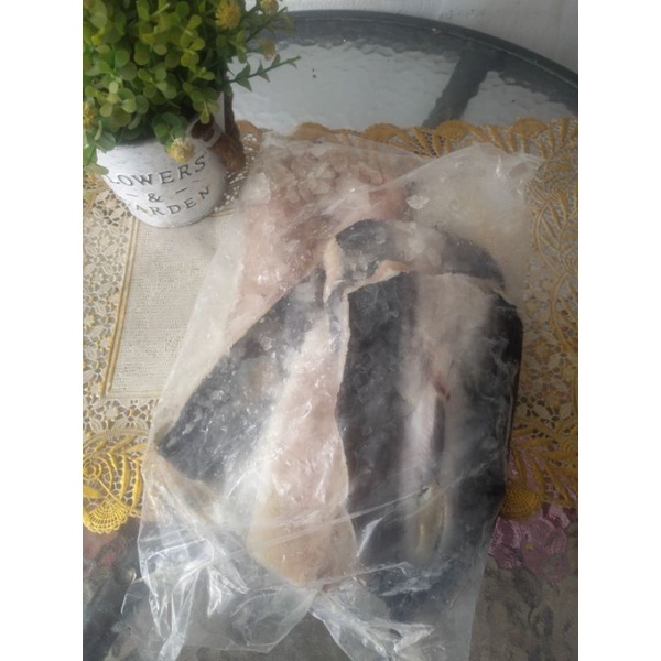 Jual [PALEMBANG] IKAN LELE FILLET FROZEN BERSIH TANPA KEPALA DAN TULANG ...