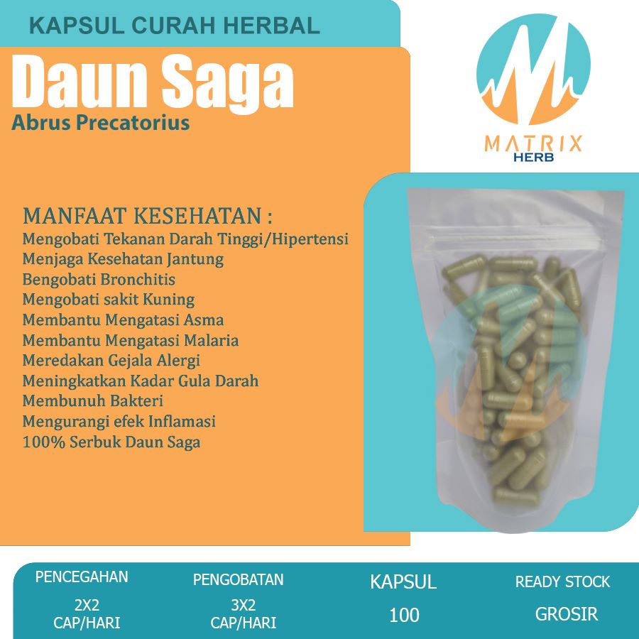 Jual DAUN SAGA 100 Kapsul Herbal Asma Sakit Kuning Alergi Hipertensi ...