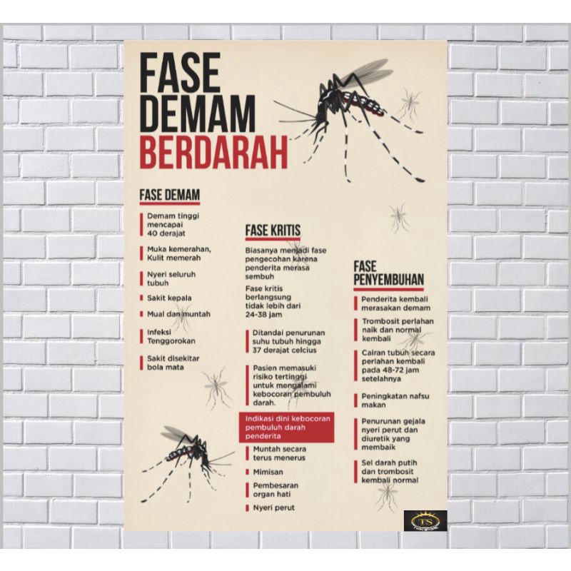 Jual Poster Kesehatan Tentang Fase Demam Berdarah | Shopee Indonesia