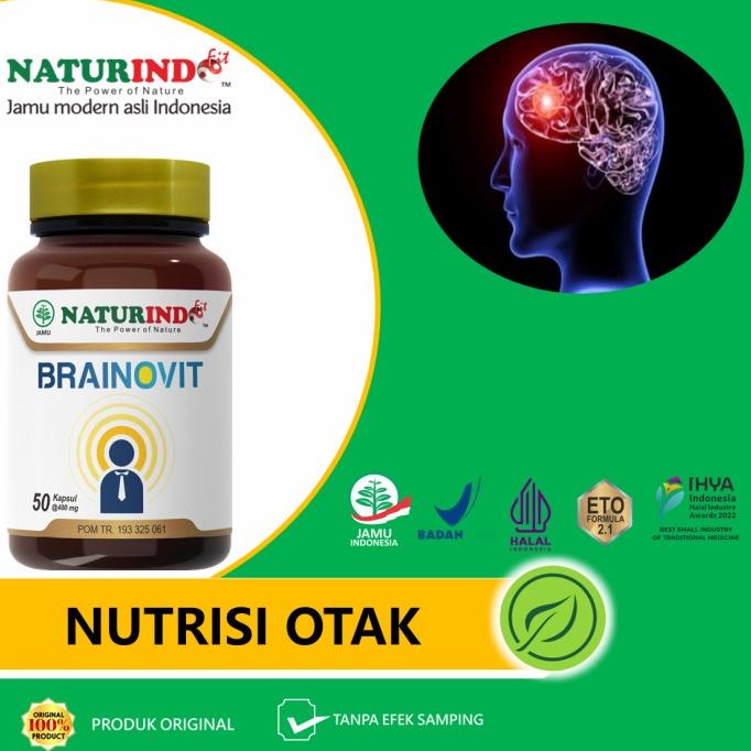 Jual Herbal Nutrisi Otak Membantu Perkembangan Anak Brainovit Naturindo ...