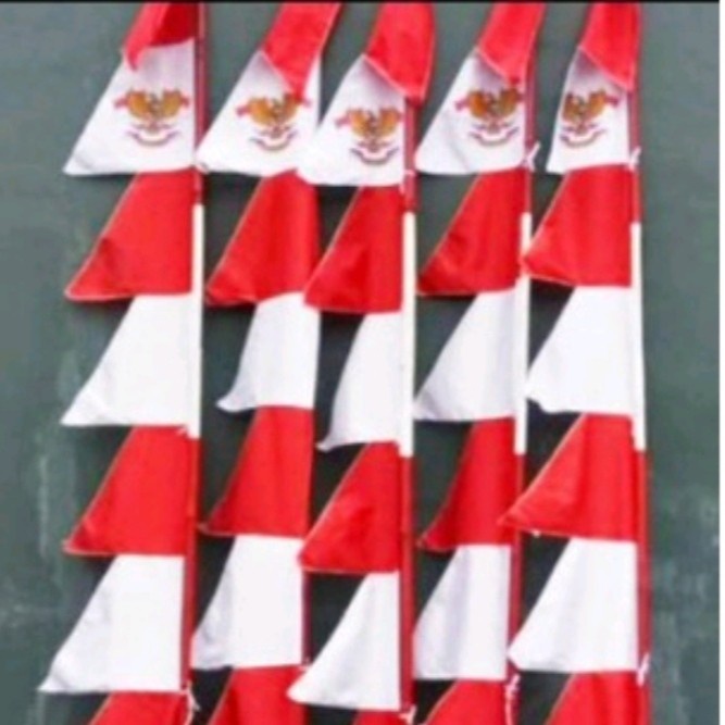 Jual EDD Isi 20 Bendera Umbul umbul warna warni Garuda 8 kotak - Merah Putih, isi 20 | Shopee ...