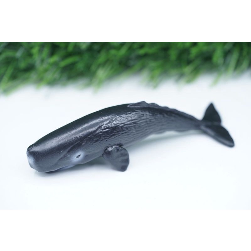 Jual Paus Sperm Whale Small Animal Figure Binatang Mainan Edukasi Anak ...