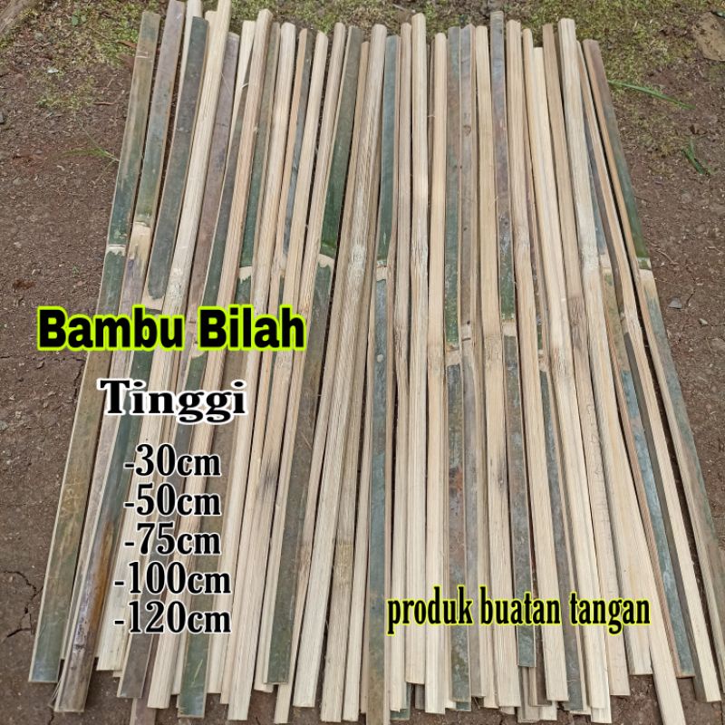 Jual Bambu bilah/Ajir Turus penyangga tanaman/Tiang Tonggak Bambu Apus ...