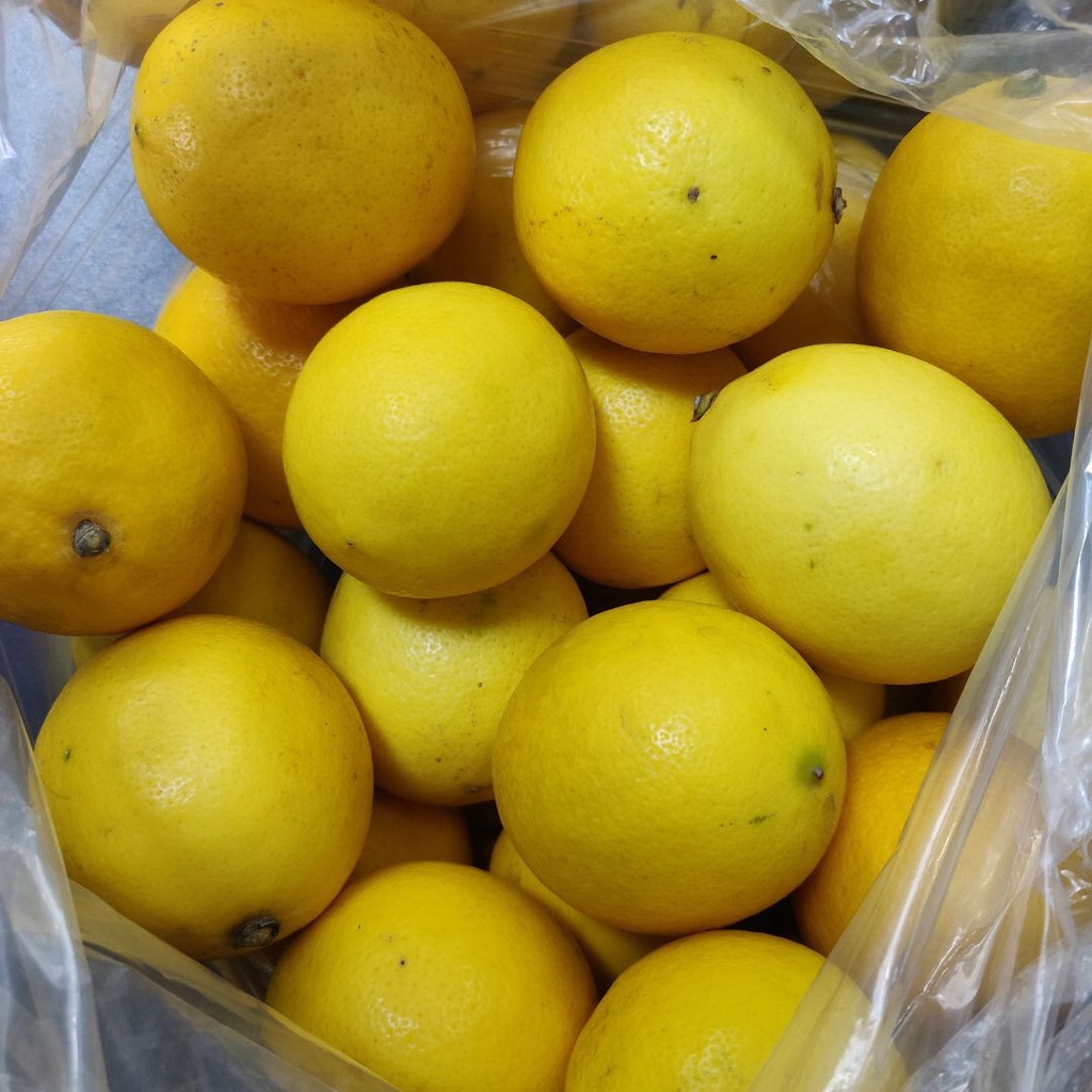 Jual Lemon California 1kg | Shopee Indonesia