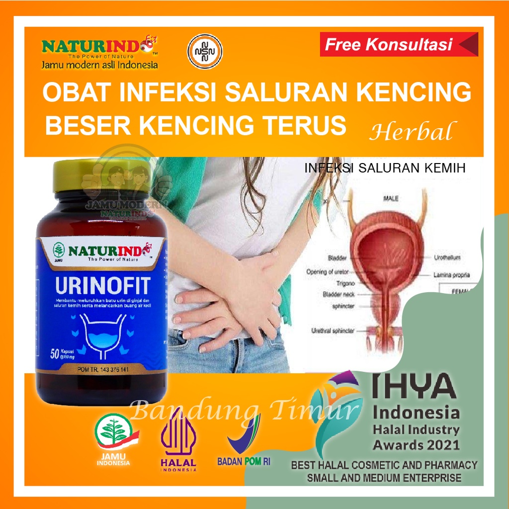 Jual Obat Beser Anyang -Anyangan Infeksi Saluran Kemih ISK Kencing Berbusa Berdarah Naturindo ...