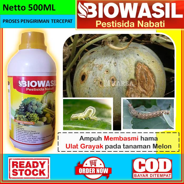 Jual OBAT ANTI HAMA ULAT GRAYAK UNTUK TANAMAN MELON [BIOWASIL] Obat ...