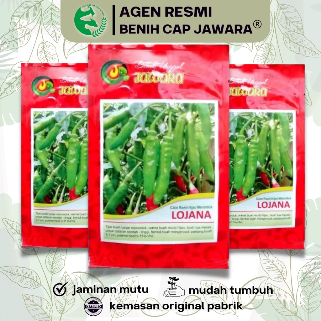 Jual 10 gram Benih Cabe Rawit Hijau LOJANA Kemasan Asli JAWARA | Shopee ...