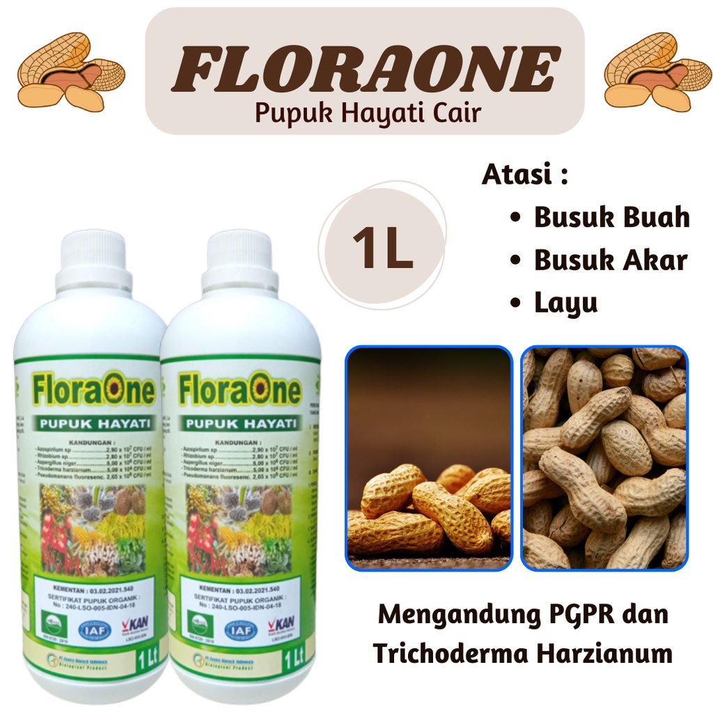 Jual Pupuk Pgpr, Rhizobium Sp Cair, Fungisida Hayati Cair Untuk Sayuran ...