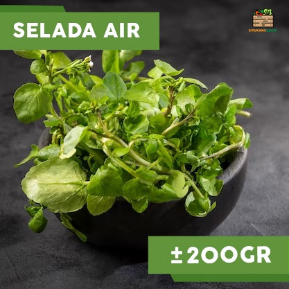 Jual Sayur Selada Air | 200gr (Kota Bandung & Sekitar) | Shopee Indonesia