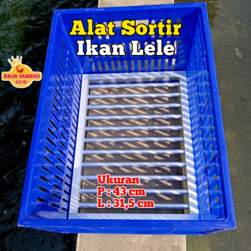 Jual Alat Sortir Lele Seritan Ikan Lele Bahan Alumunium - Pengganti Bak ...