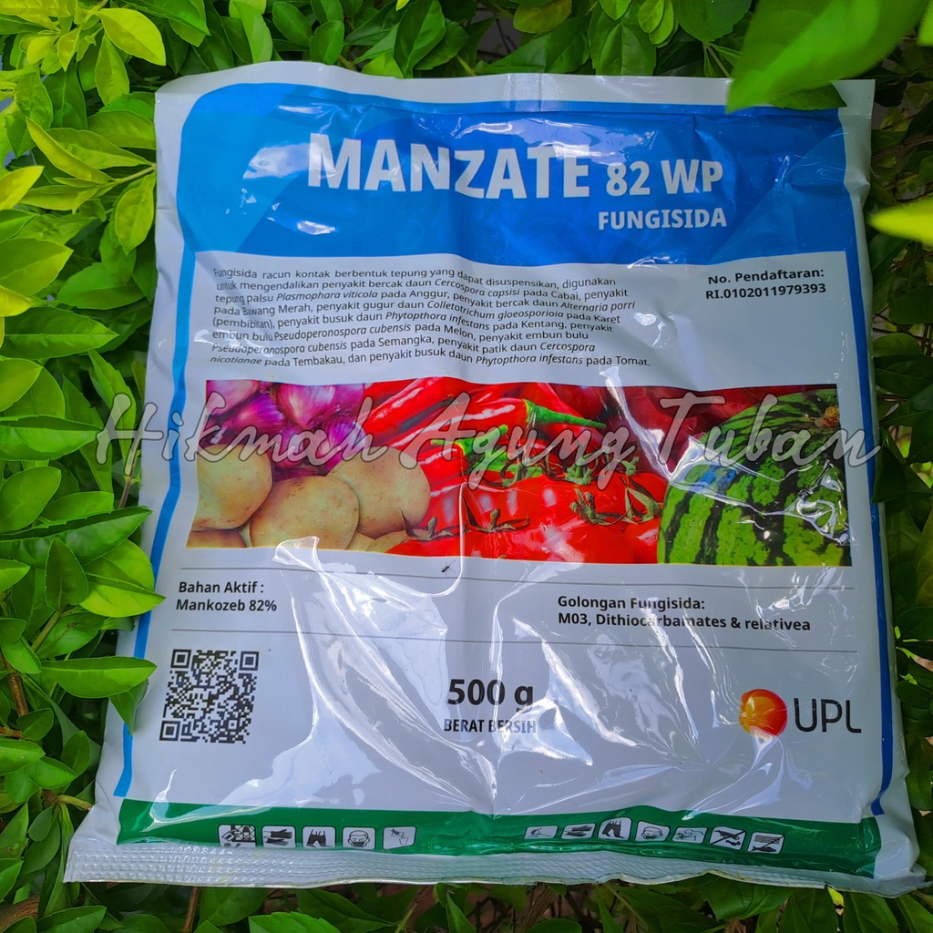 Jual Fungisida Manzate 82 WP kemasan 500GR - Fungisida Mankozeb ...