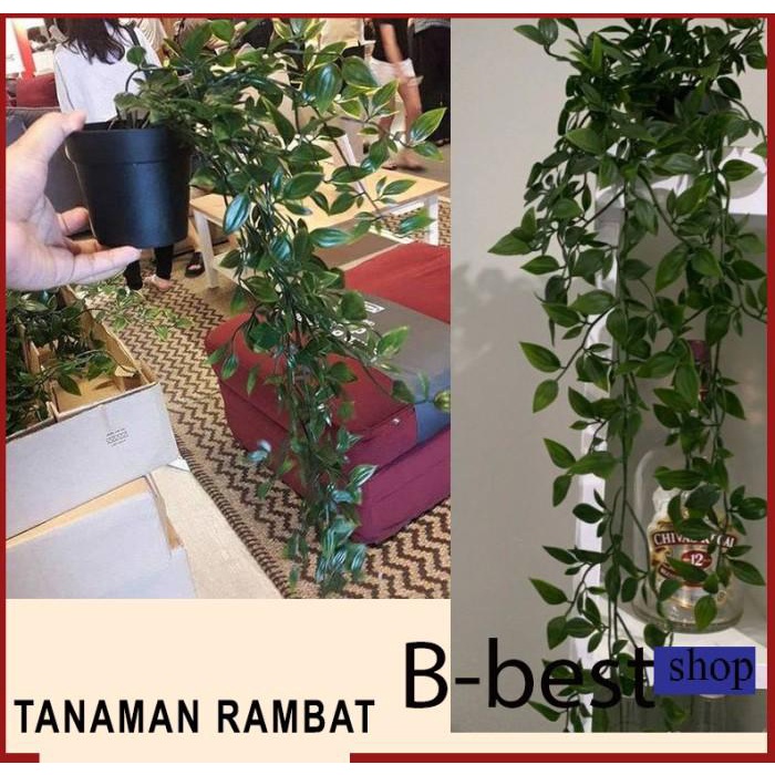 Jual TANAMAN RAMBAT GANTUNG TIRUAN DALAM POT / TANAMAN ARTIFICIAL ...