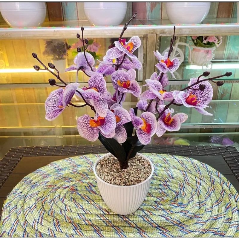 Jual Bunga anggrek artificial x5 dengan pot kerang | Shopee Indonesia