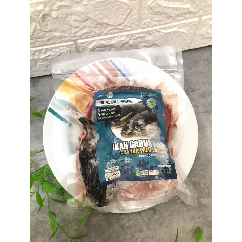 Jual PURE ORGANIC IKAN GABUS POTONG LIAR 1KG | Shopee Indonesia
