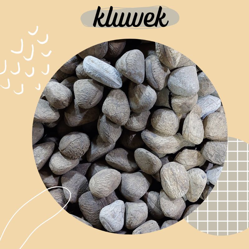Jual Kluwek ½ kg | Shopee Indonesia
