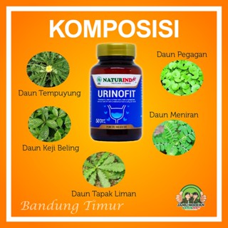 Jual Obat Beser Anyang -Anyangan Infeksi Saluran Kemih ISK Kencing Berbusa Berdarah Naturindo ...