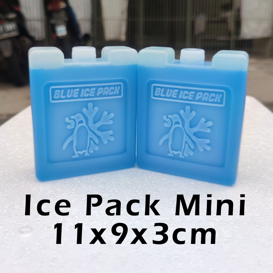 Jual Dry Ice Terlengkap & Harga Terbaru Mei 2026 | Shopee Indonesia
