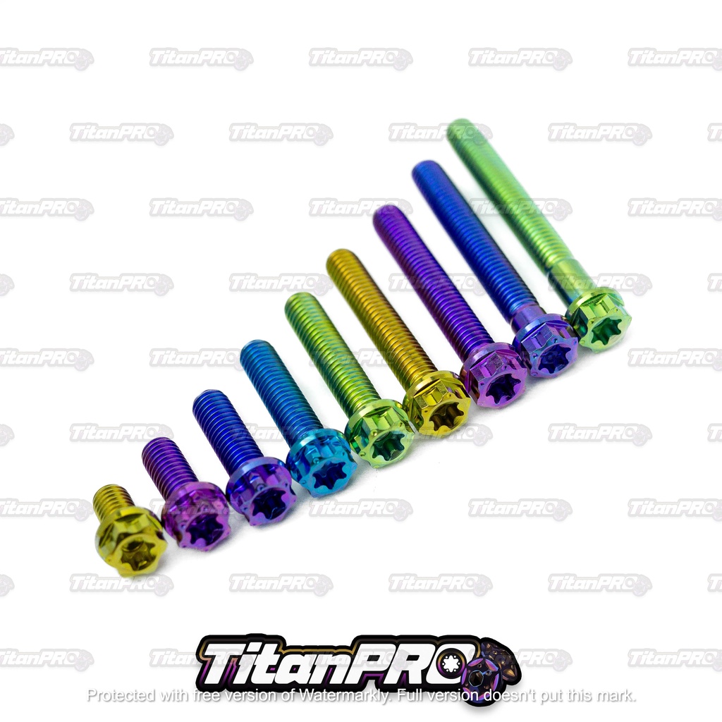 Jual BAUT TITANIUM M6 GRADE 5 HEXA 2KEY M6X10MM-70MM | Shopee Indonesia