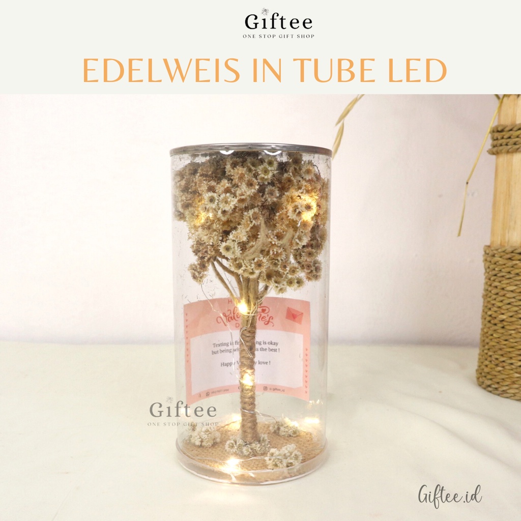 Jual EDELWEIS IN TUBE LED DRIED EDELWEISS FLOWER IN JAR BUNGA KERING ...