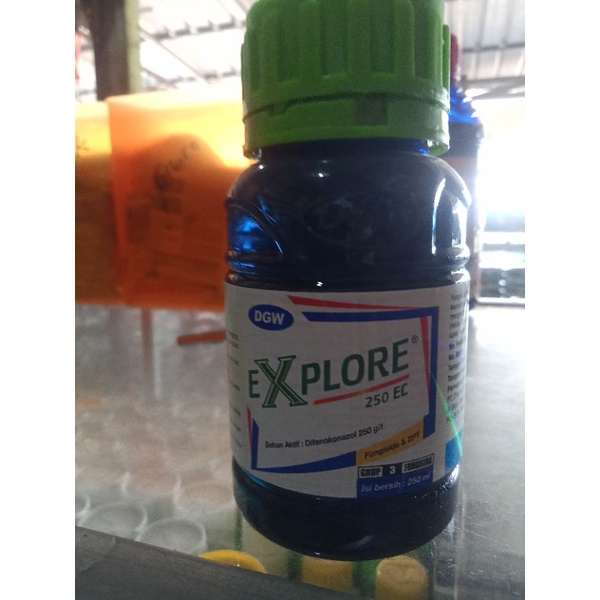 Jual Explore 250(original) | Shopee Indonesia