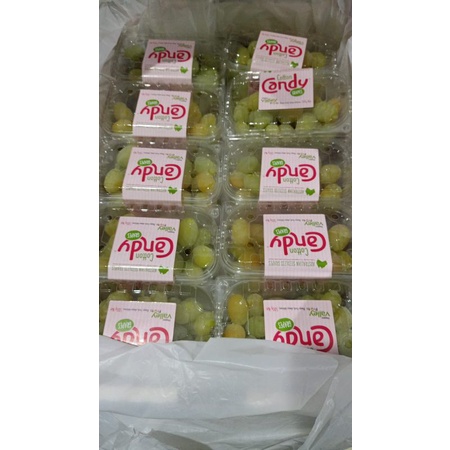 Jual anggur COTTON CANDY | Shopee Indonesia