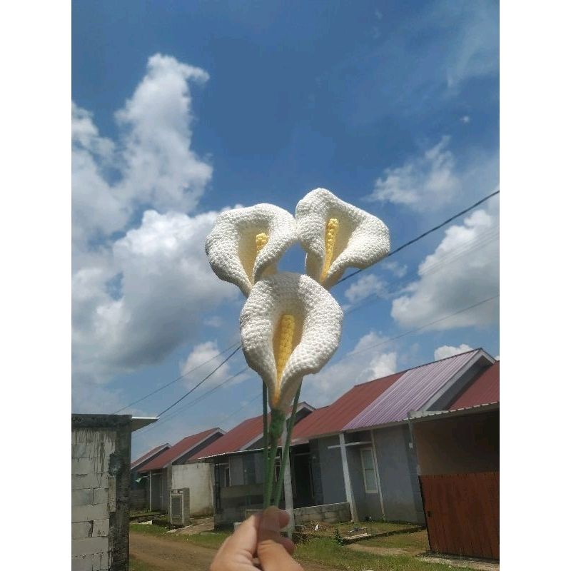Jual CALLA LILY FLOWER CROCHET / Bunga Calla Lily Rajut | Shopee Indonesia
