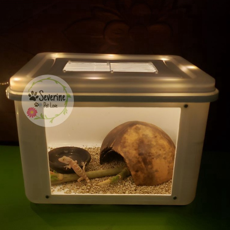 Jual Diskon Promo.. Box Reptil | kandang Reptile | Terrarium katak ...