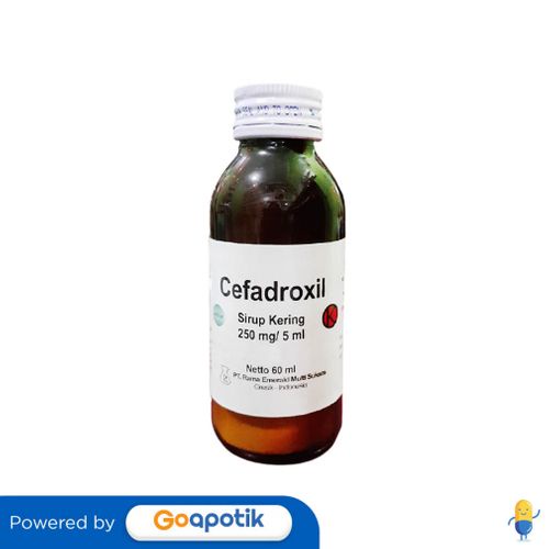 Jual CEFADROXIL RAMA 250 MG/5 ML DRY SYRUP 60 ML | Shopee Indonesia