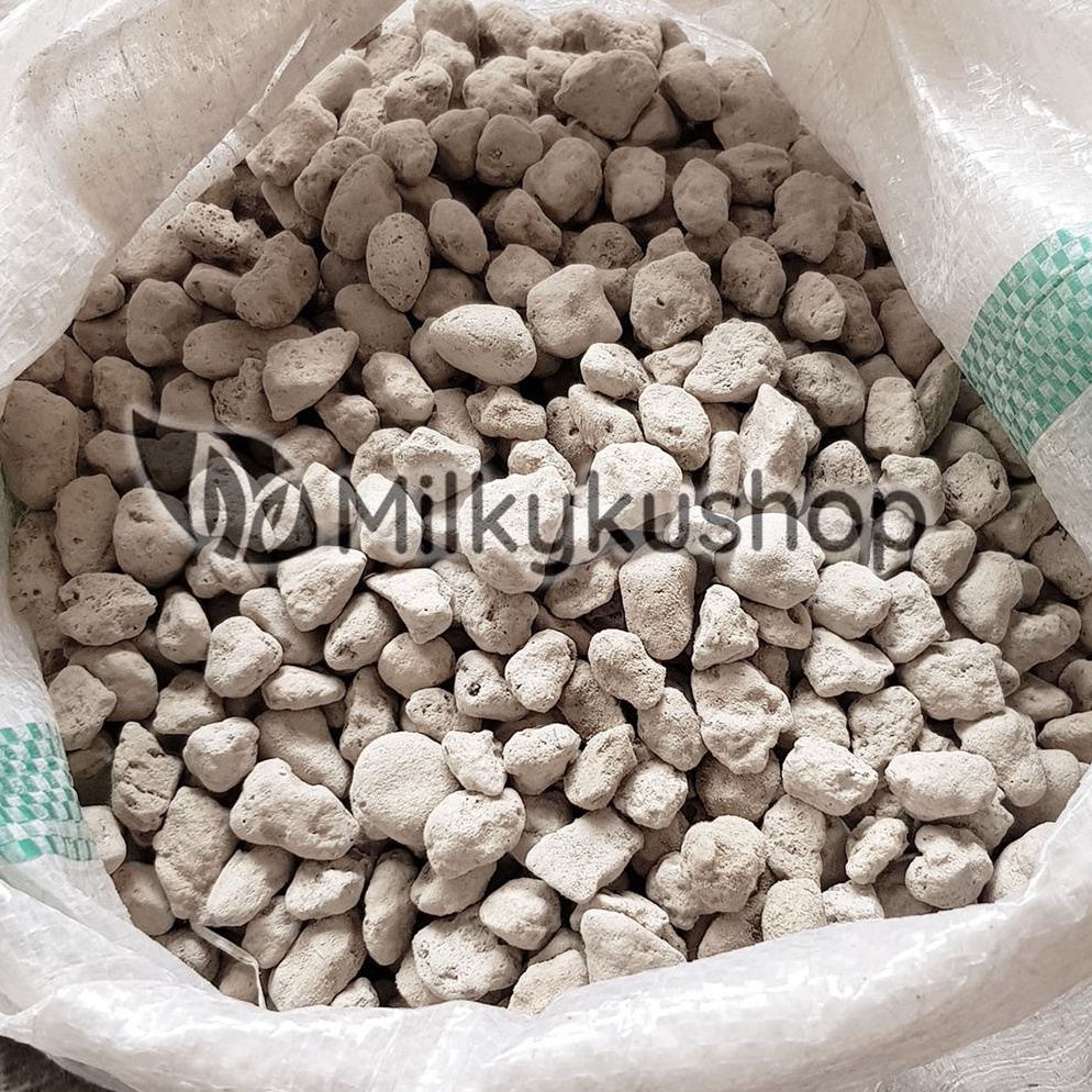 Jual (Q IV-») BATU APUNG SEDANG - PUMICE STONE AQUARIUM FILTER ...