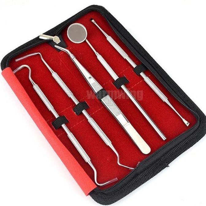 Jual 5 Pcs + Box Set Alat Pembersih Mulut Stainless Steel Lengkap Dan ...