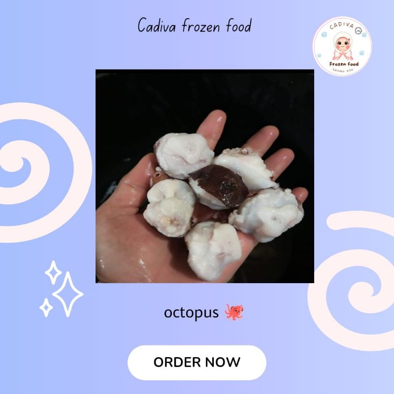 Jual octopus 1kg | Shopee Indonesia
