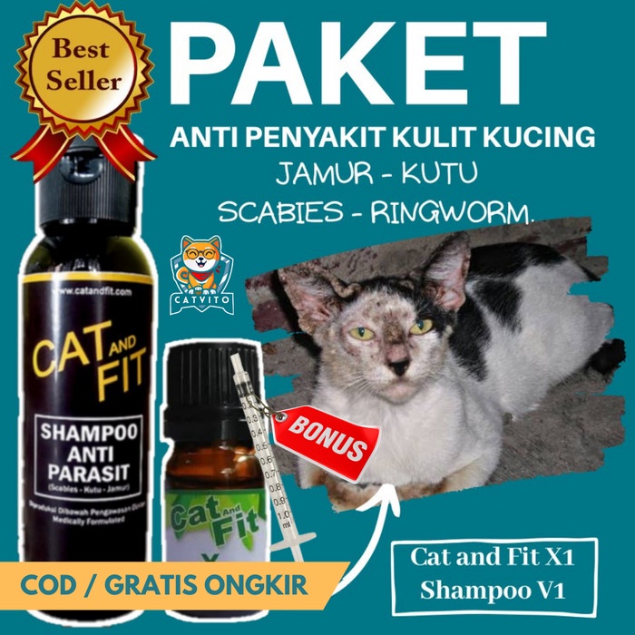Jual PAKET OBAT DAN SHAMPOO ANTI KUTU JAMUR DAN SCABIES KUCING CAT AND FIT | Shopee Indonesia