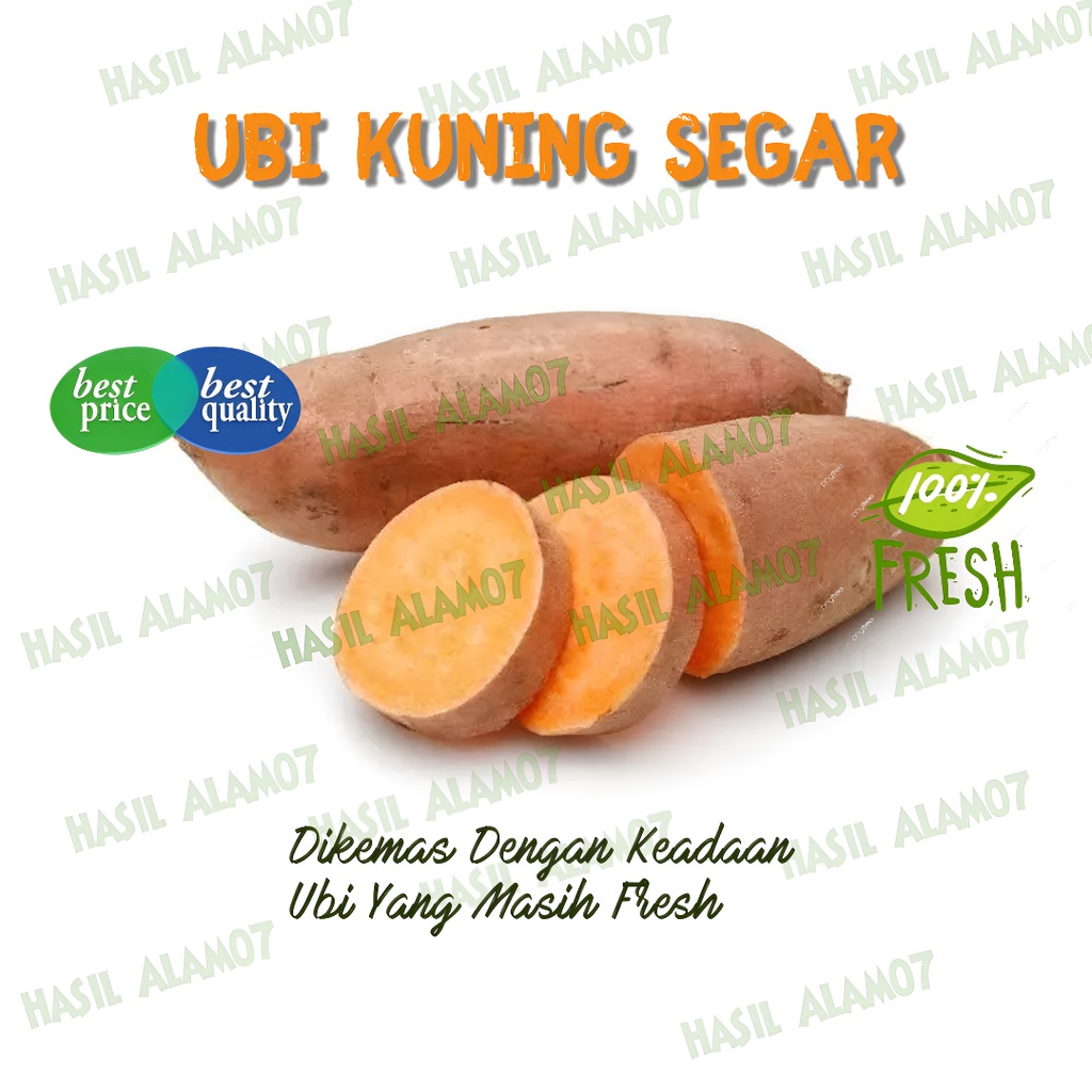Jual Ubi Kuning Fresh Segar 1 Kg | Shopee Indonesia