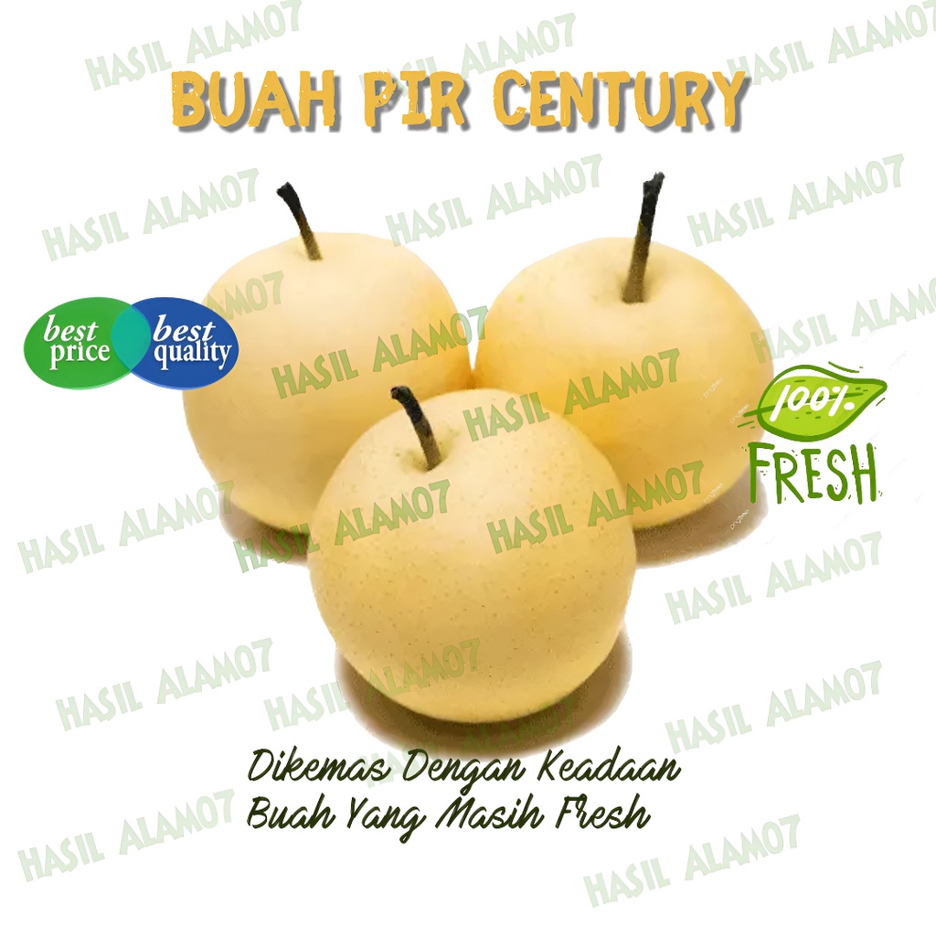 Jual Buah Pear Pir Century Segar Fresh 1kg | Shopee Indonesia