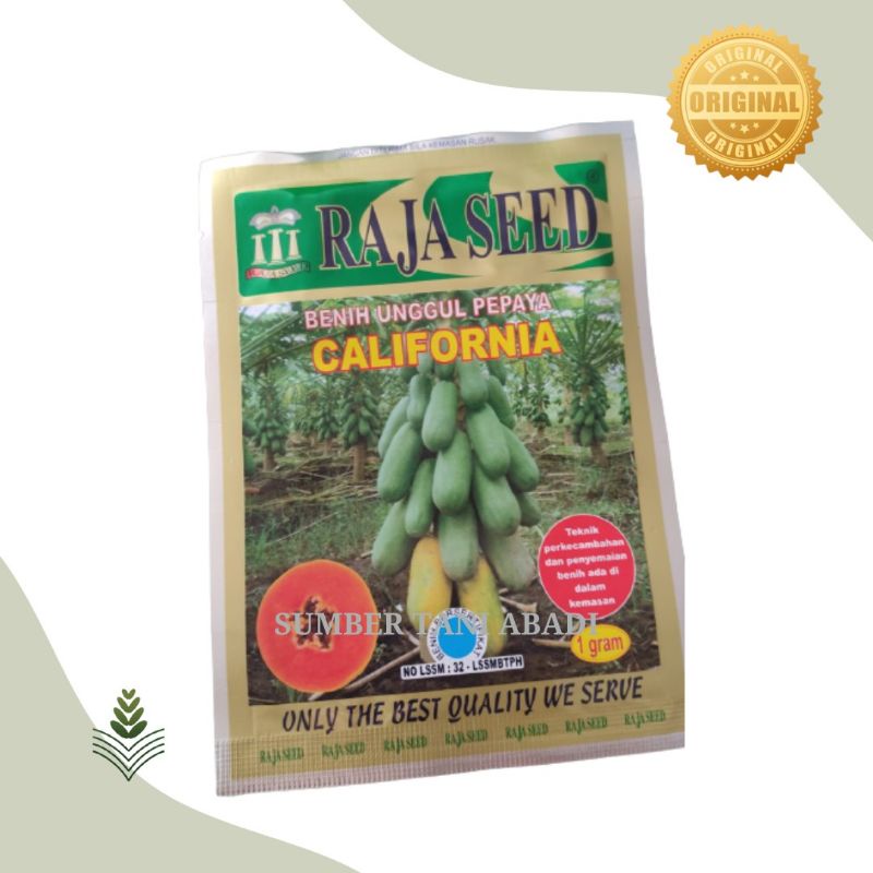 Jual bibit pepaya CALIFORNIA 1GR - RAJA SEED | Shopee Indonesia