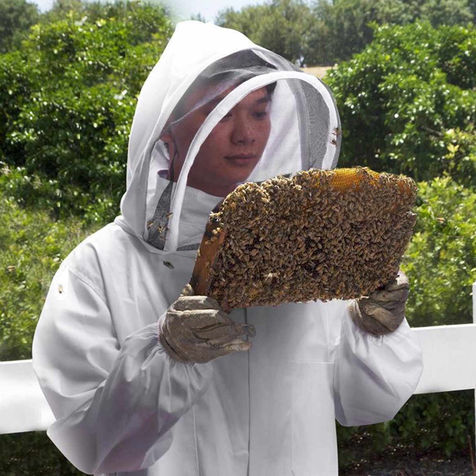 Jual [PROMO NS1A] Beekeeping Beekeeper Baju Jaket Anti Lebah ...