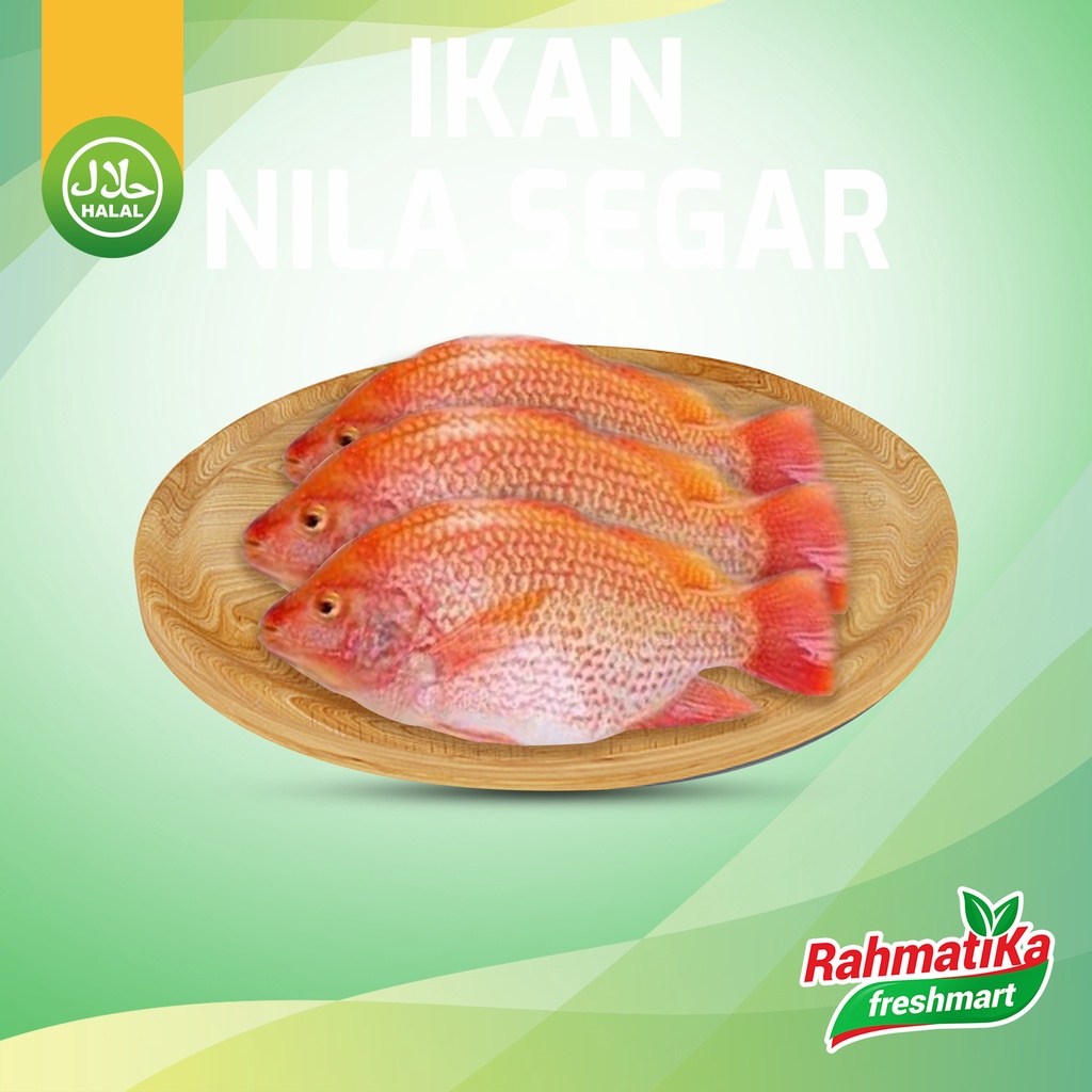 Jual Ikan Nila Fresh / Ikan Nila Segar 1 Kg | Shopee Indonesia