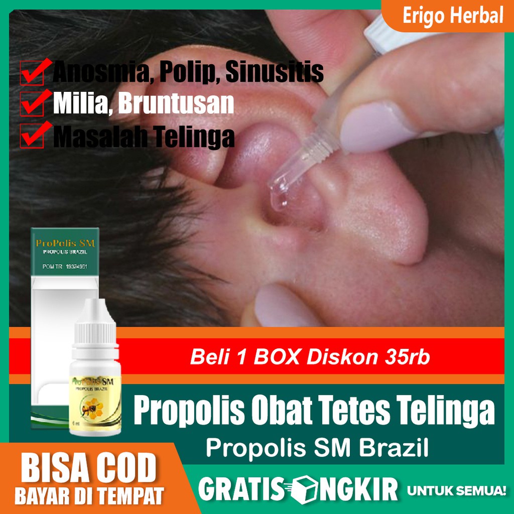 Jual Propolis Obat Tetes Telinga Bernanah Congek Berair Curek Bernanah ...