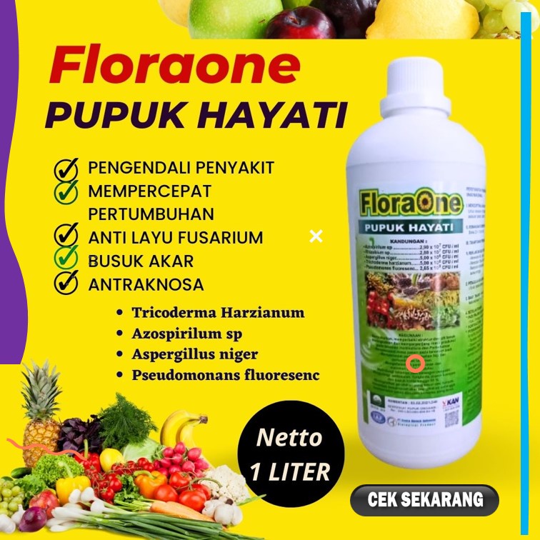 Jual Obat Layu Fusarium Cabe, Tricoderma Cair Floraone Pupuk Hayati, Pupuk Cabai Rawit | Shopee ...