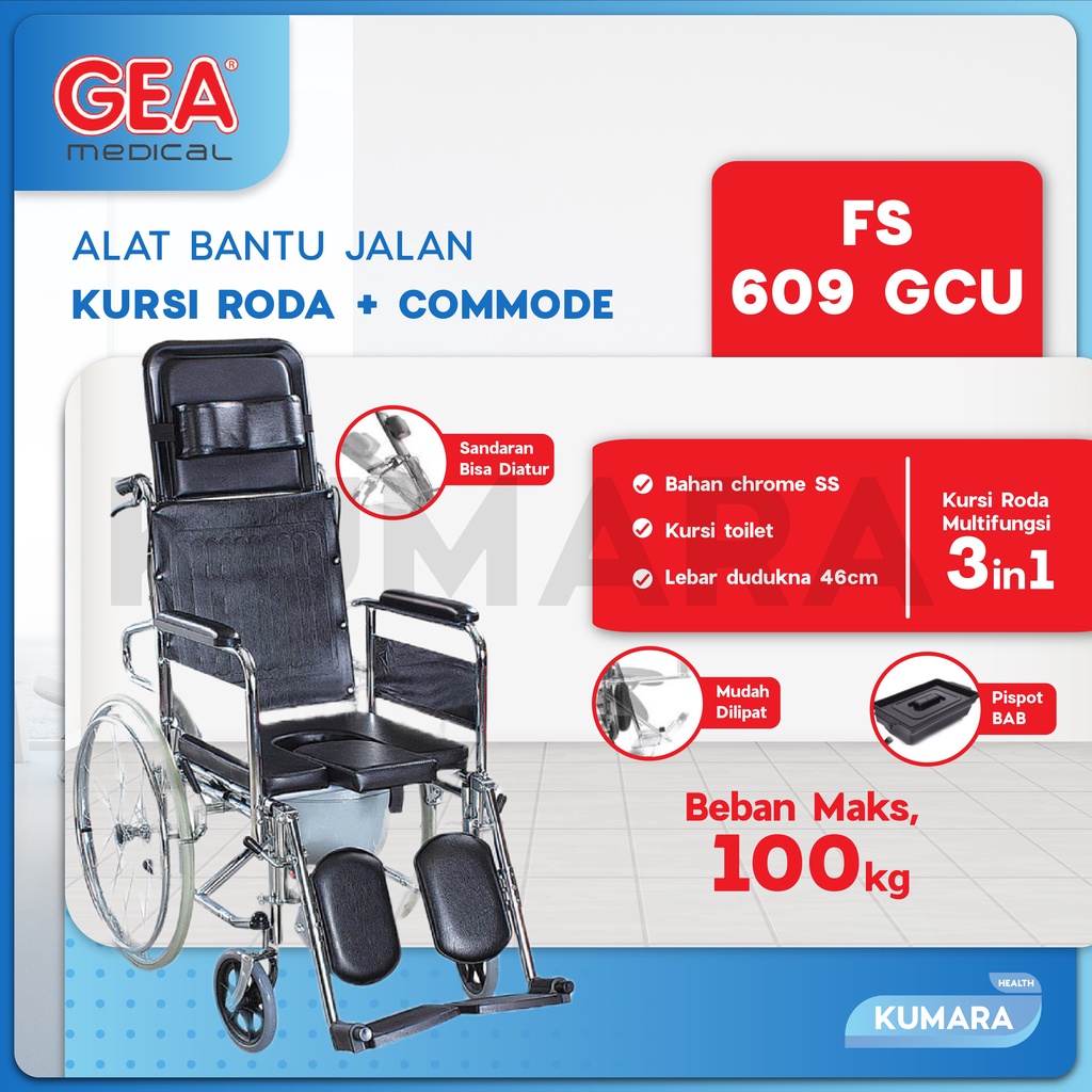 Jual GEA - Kursi Roda 3In1 FS 609 GCU / Kursi Roda Dengan Sandaran ...