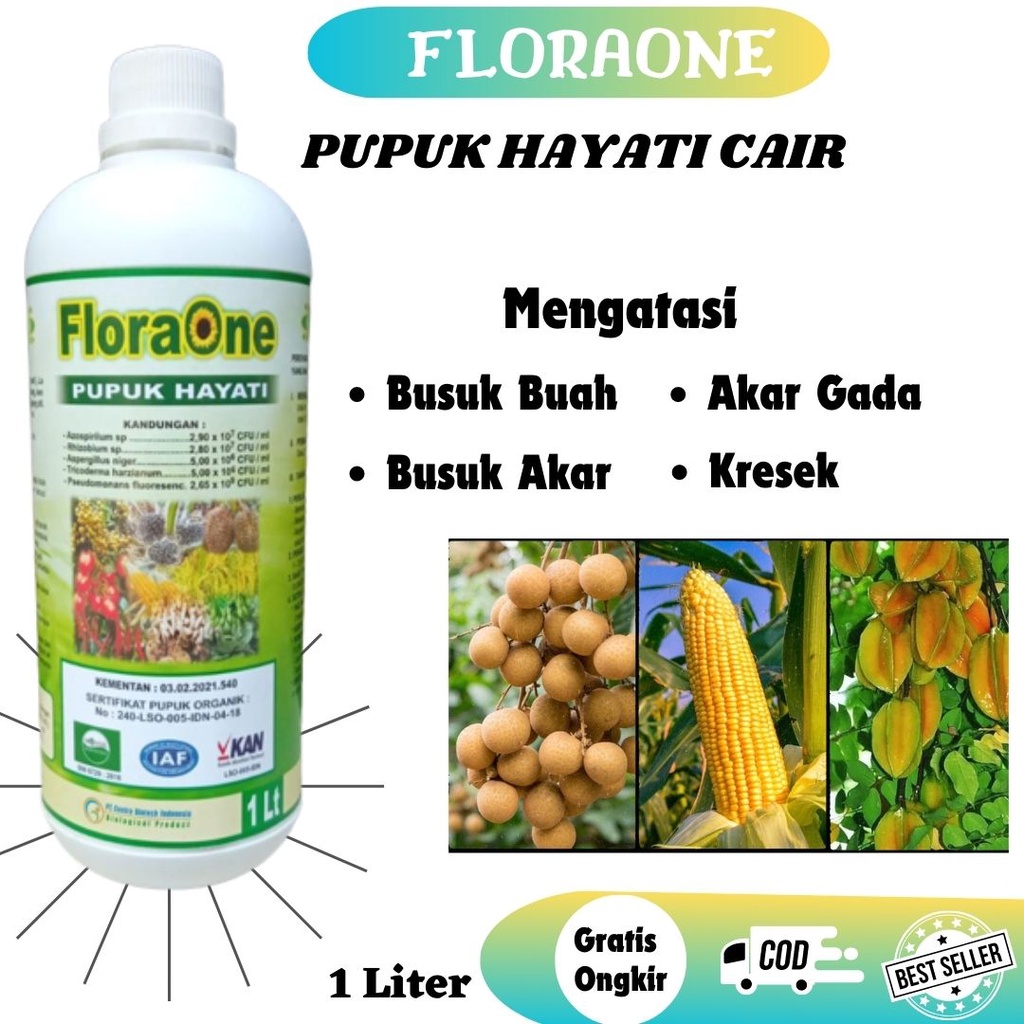 Jual Pupuk Rhizobium Sp Cair 1 Liter, Fungisida Hayati Cair Trichoderma ...