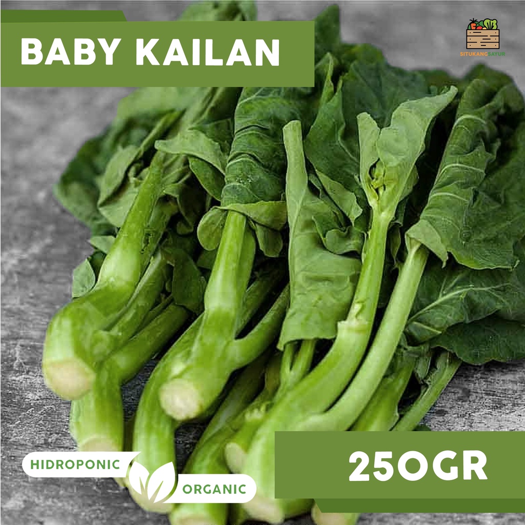 Jual Sayur Baby Kailan Organik | 250gr (Kota Bandung & Sekitar ...