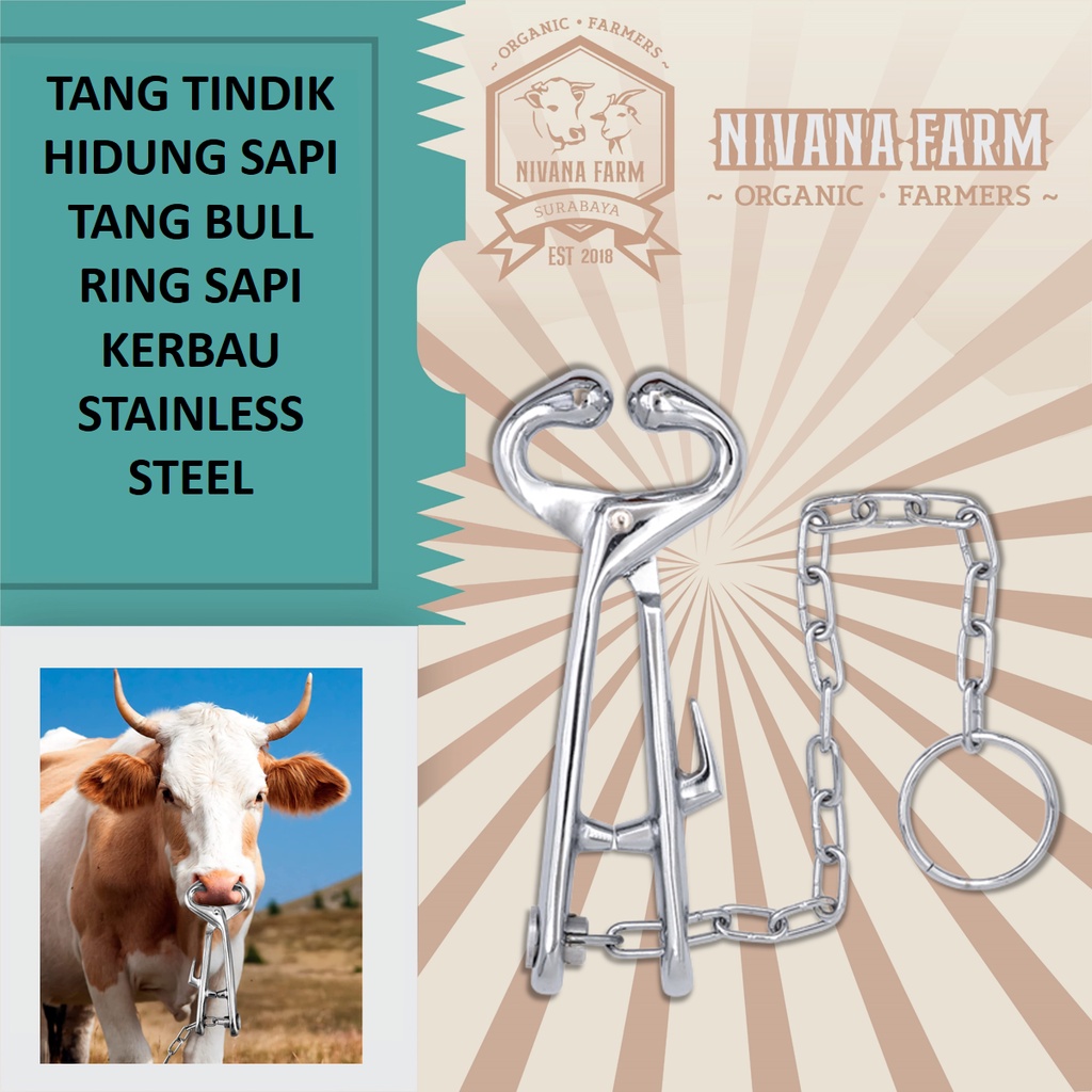 Jual Tang Tindik Hidung Sapi Tang Bull Ring Sapi Kerbau Stainless Steel ...