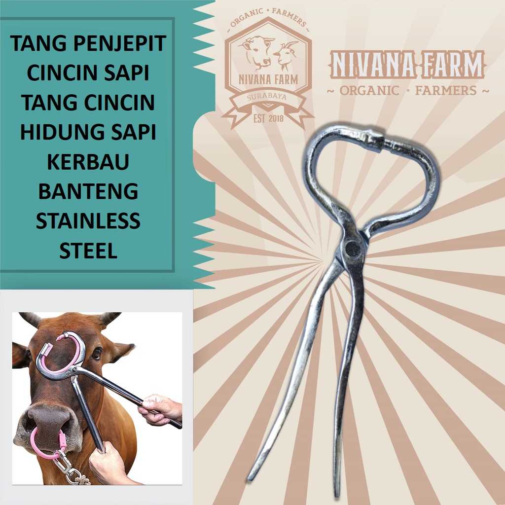 Jual Tang Penjepit Cincin Sapi Tang Cincin Hidung Sapi Kerbau Banteng ...