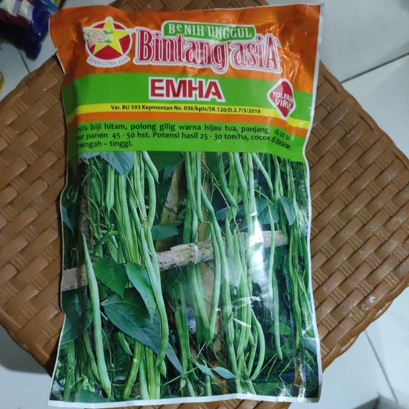 Jual Benih Buncis EMHA (500 GRAM) | BINTANG ASIA | ORIGINAL 100% ...